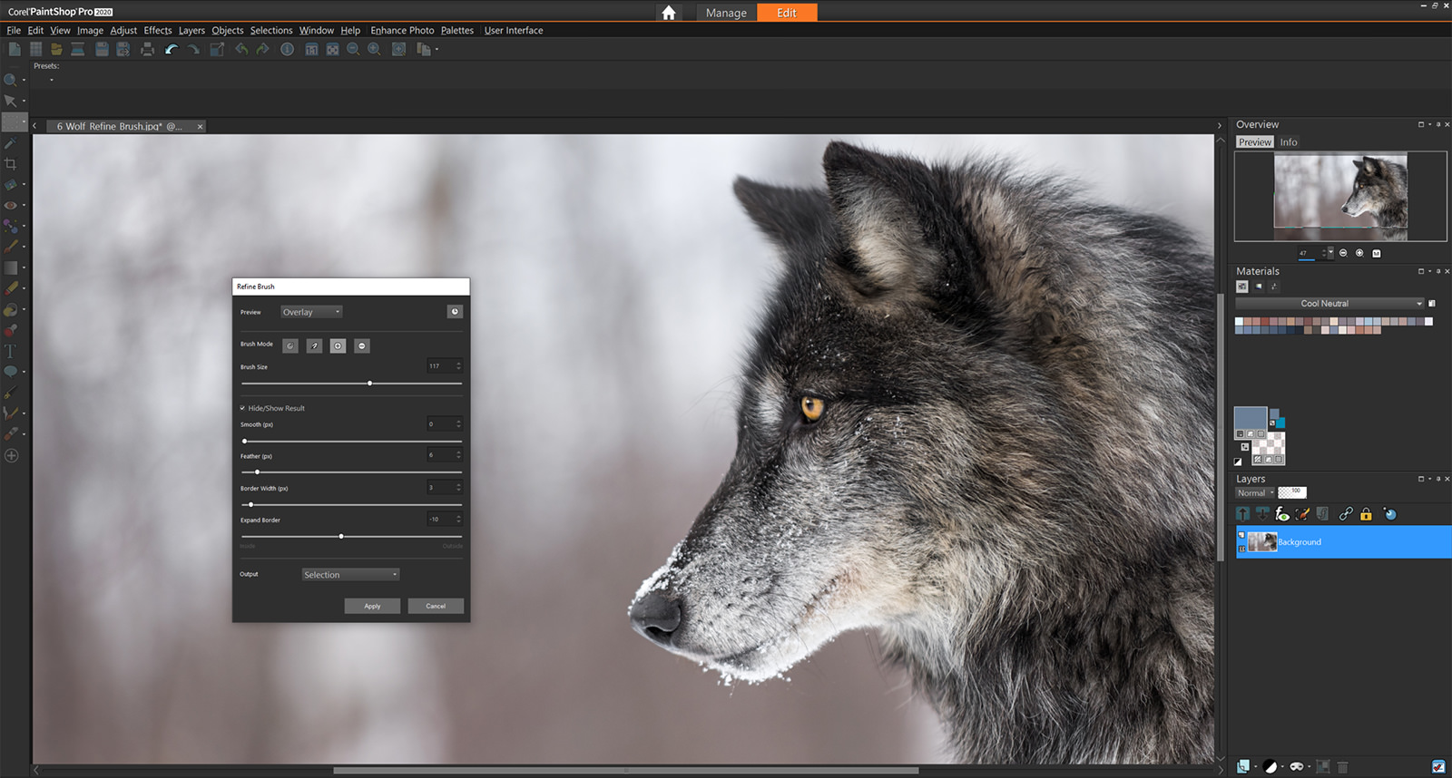Corel Reveals PaintShop Pro 2020 With Content Aware SmartClone And More