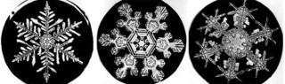 First Snowflake Photographs for Sale | PetaPixel