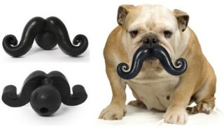 Funny Photo Props: The Dog Stache | PetaPixel