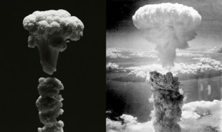Famous Explosion Photos Recreated with Cauliflower | PetaPixel