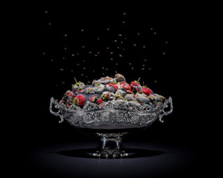 Photographs of Decaying Food Highlight the Global Problem of Waste ...