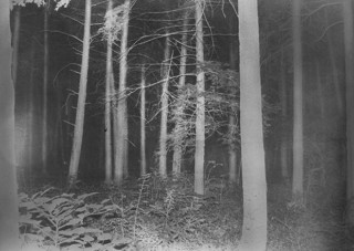 Distorted Photos Created by Repeatedly Rephotographing Prints | PetaPixel