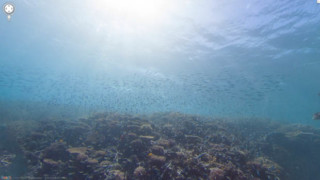 Google Street View Now Has Underwater Panoramas of the Great Barrier ...