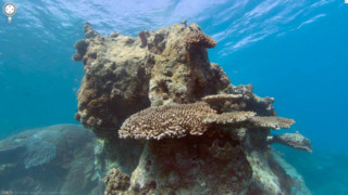 Google Street View Now Has Underwater Panoramas of the Great Barrier ...