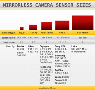 A Graphical Comparison of Mirrorless Camera Sensors Sizes | PetaPixel