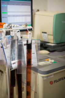 A Behind-the-Scenes Look At How 35mm Film is Developed and Printed at a ...