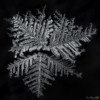 Shooting High-Resolution Macro Photos of Snowflakes | PetaPixel