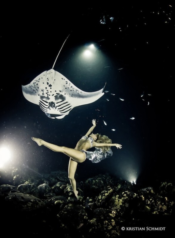 Underwater Photo Shoot Pairs Model and Manta Ray in Mesmerizing Dance ...