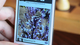 FocusTwist to Bring Lytro-style Refocus-able Photos to a Phone Near You ...