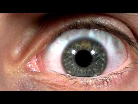 Eyes Are Amazing: A Slow Motion Look at Our Biological Lens | PetaPixel