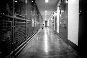 Photographer Captures the Experiences of Mentally Ill Prison Inmates ...