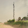 Photos of Cell Phone Towers Disguised as Fake Trees | PetaPixel