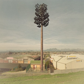 Photos of Cell Phone Towers Disguised as Fake Trees | PetaPixel