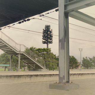 Photos of Cell Phone Towers Disguised as Fake Trees | PetaPixel