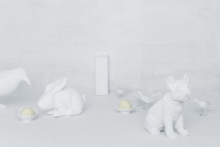Still Life Photos that Combine Stark White Scenes with Just a Touch of ...