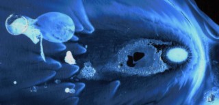 Striking Images Capture the Movement of Water Using a Special ...