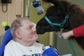 Heartwarming Photos of Therapy Llamas Interacting with Patients at a ...