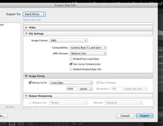 Create a Smaller, Emailable Copy of Your RAW Photo Using Lightroom's ...