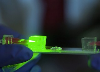 New Fluid-Filled Lens Combines the Best Traits from Human and Insect ...