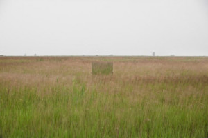 The Square: Photos of Artist Seokmin Ko Blending Into the World Behind ...