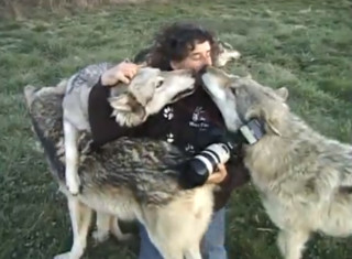 Photographer Gets Insanely Friendly with a Pack of Wolves | PetaPixel