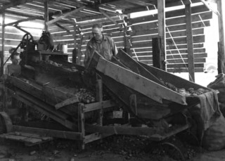 Vintage Photo Finds is an Online Collection of Old Pictures Found at ...