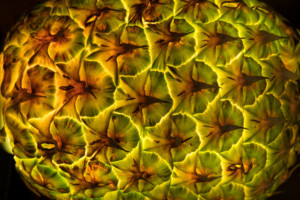 Photographer Makes Fruits and Vegetables Glow by Sticking Lights Inside ...