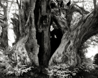 Photographer Beth Moon Spent 14 Years Hunting for the World's Most ...