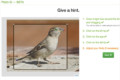 This Website Can Identify the Bird Species in a Photo | PetaPixel
