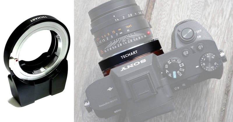 The Anatomy of Autofocus: How Cameras and Lenses Achieve Perfect Focus ...