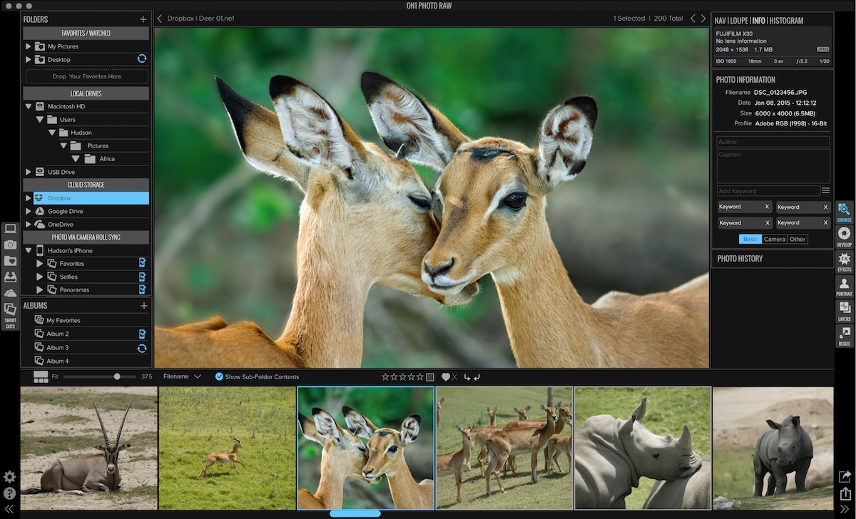 ON1 Unveils Photo RAW, the First All-New RAW Processor in a Decade ...