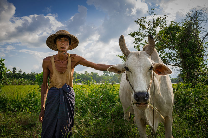 8 Tips for Making Better Environmental Portraits in Natural Light ...