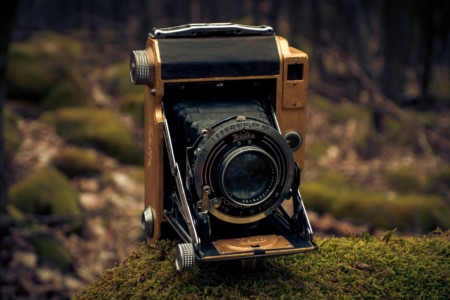 Discover the Gorgeous Hand-Crafted Custom Cameras of Dora Goodman ...