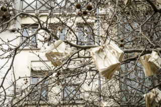 Depth of Field Explained | PetaPixel