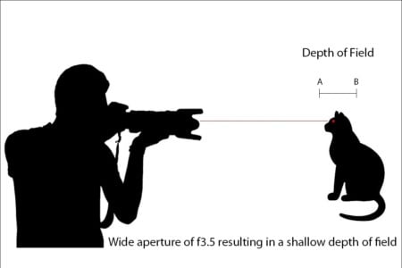 A Beginner's Guide to Aperture, Shutter Speed, and ISO in Photography ...