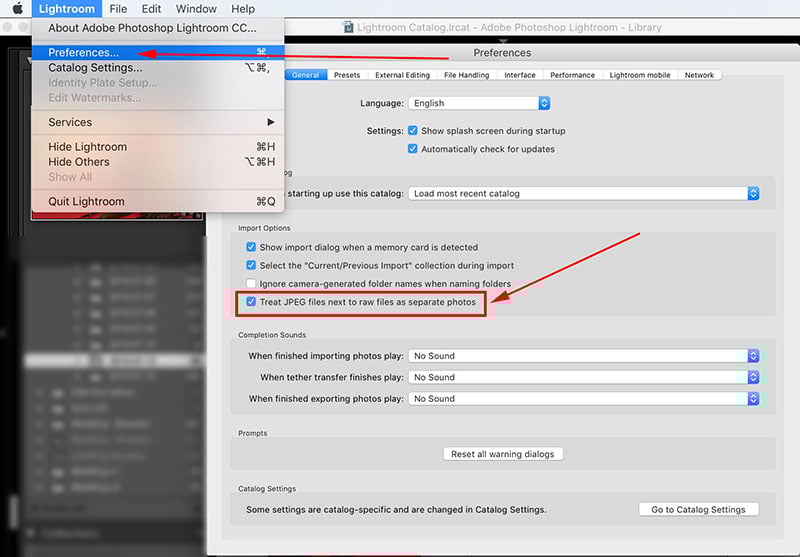 8 Reasons Why You Should Shoot in JPEG | PetaPixel