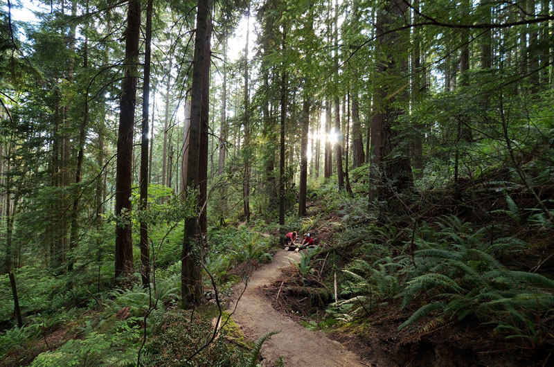 Turning a Mountain Biking Trail Into an Outdoor Photo Gallery | PetaPixel