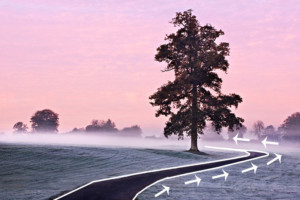 28 Composition Techniques That Will Improve Your Photos | PetaPixel