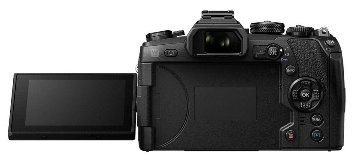 The Olympus E-M1 Mark II Can Shoot Up to 18fps... RAW... with AF ...