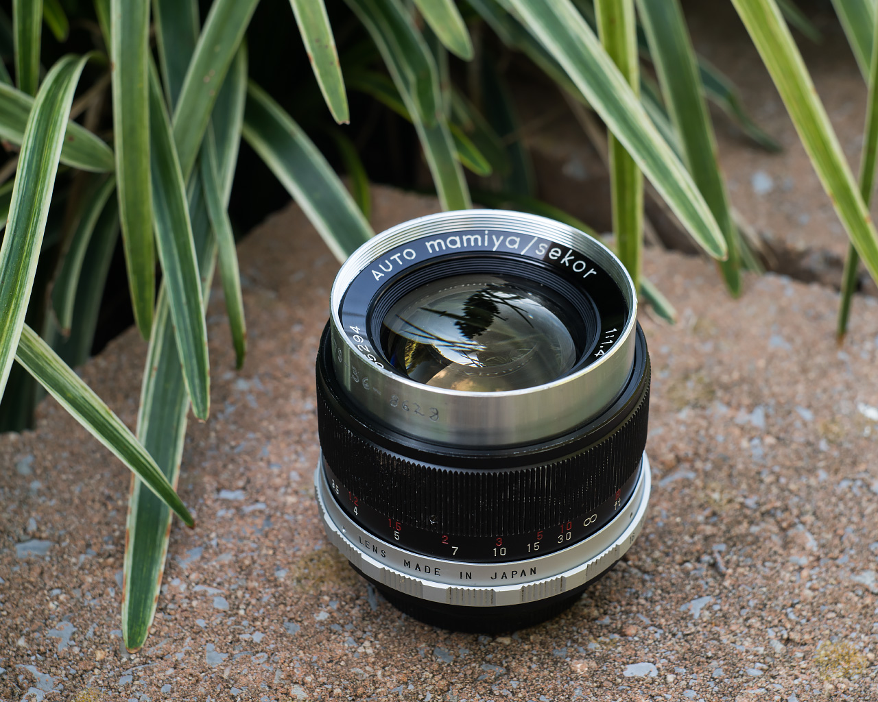 Yard Sale Find: $10 for an Amazing Portrait Lens | PetaPixel