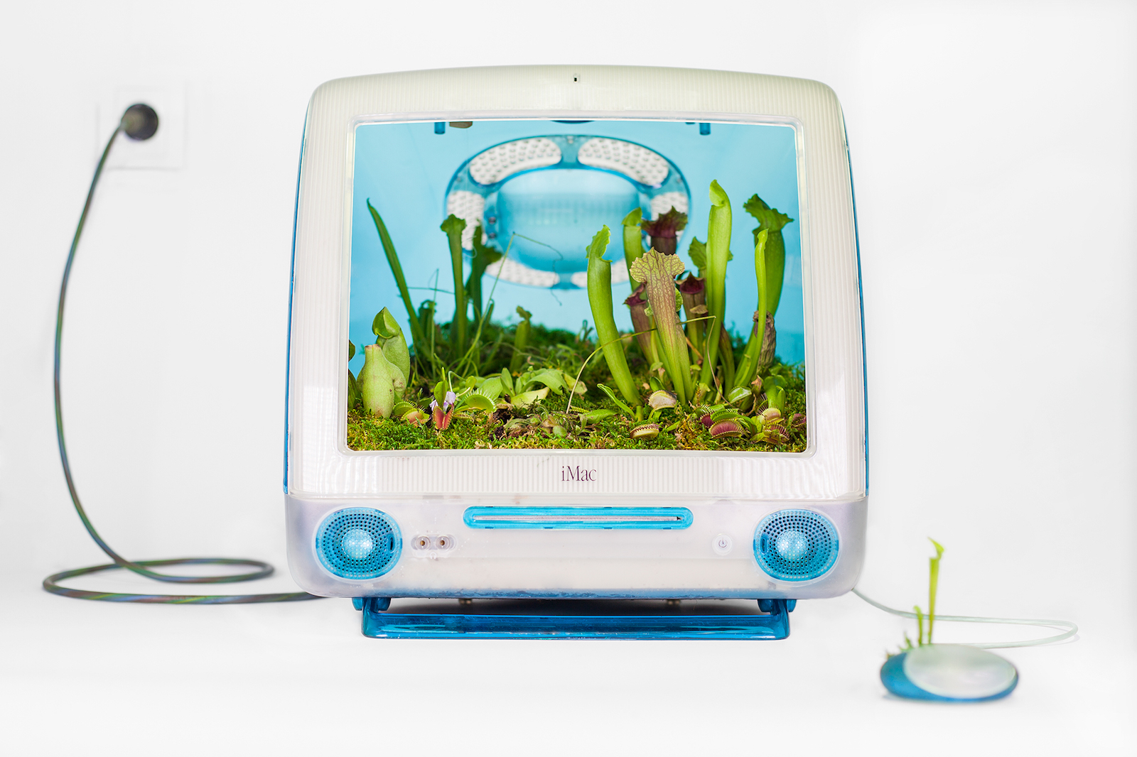 Apple Computers Sprout Plant Life in Odd 'Plant Your Mac' Photo Series ...