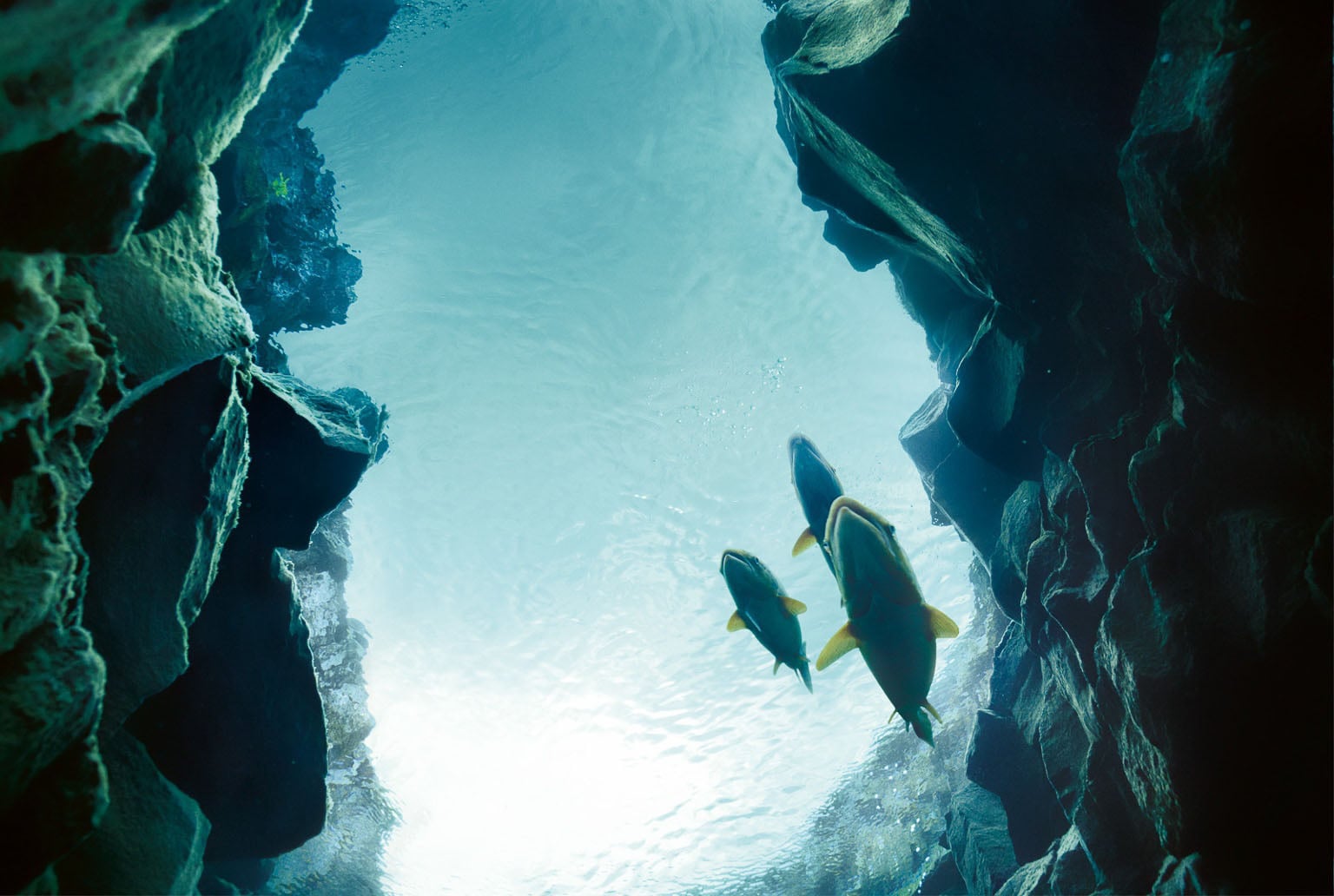 These Wide-Angle Photos Capture an 'Earth-Eye' View of the World ...