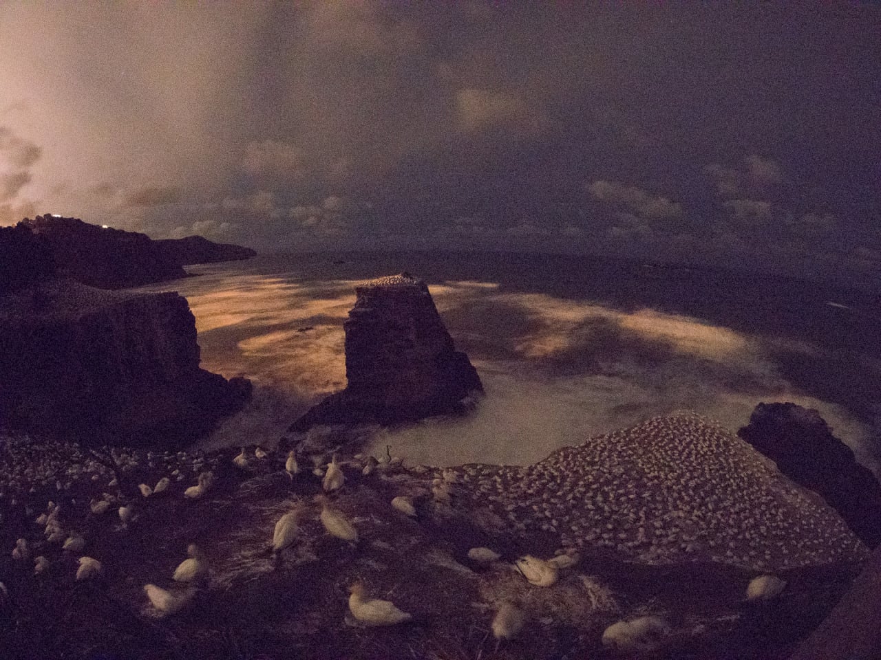 This is Why Ultra High ISO is a Big Deal in Photography | PetaPixel