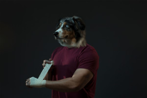 Portraits of Dogs with Human Bodies | PetaPixel