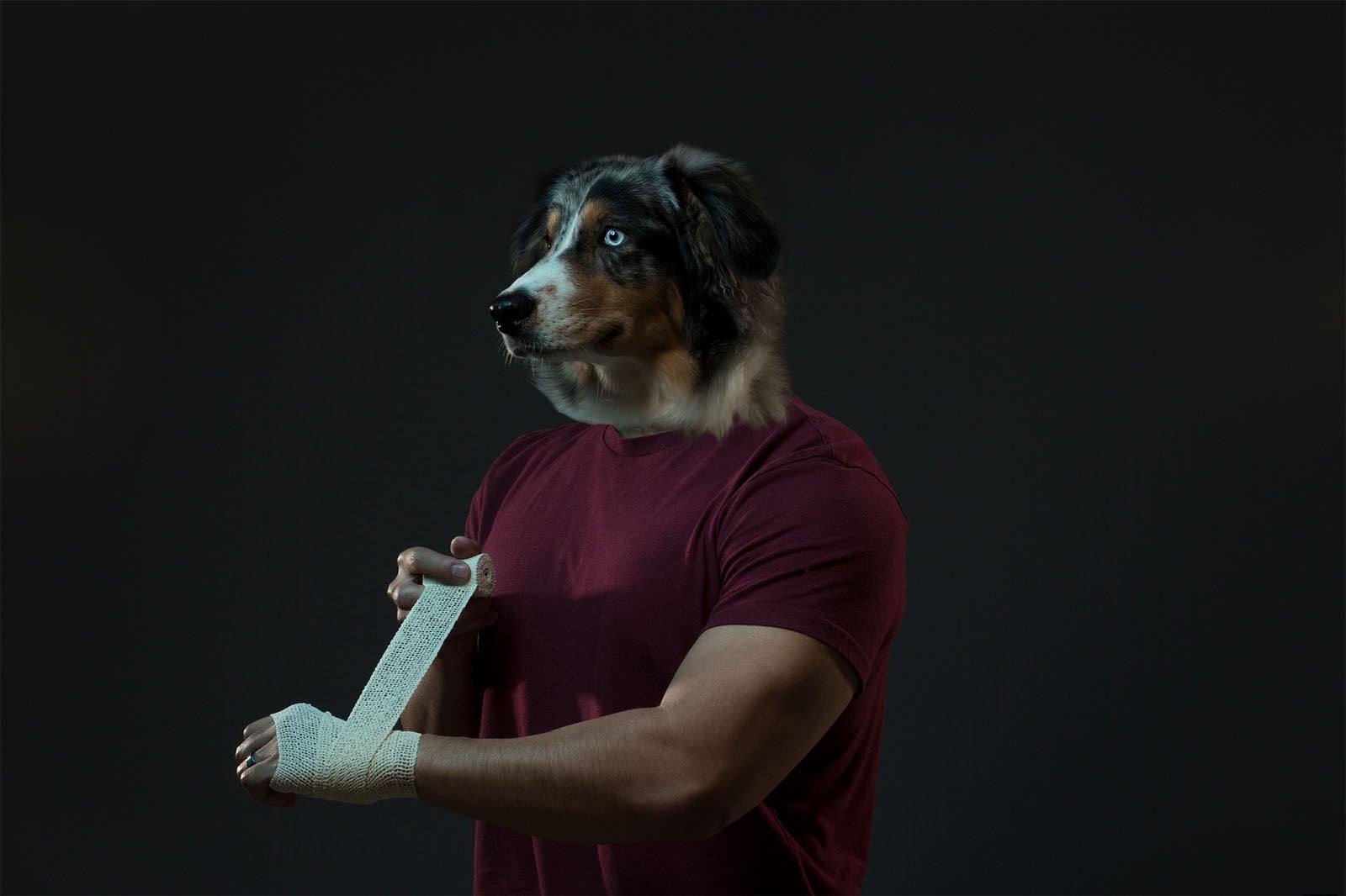 Portraits of Dogs with Human Bodies | PetaPixel