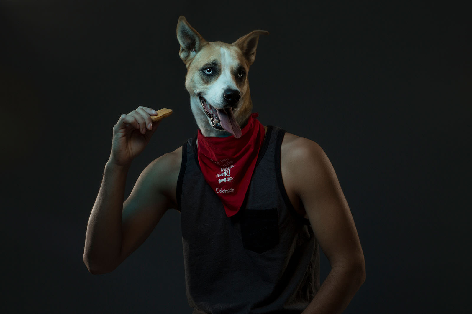 Portraits of Dogs with Human Bodies | PetaPixel