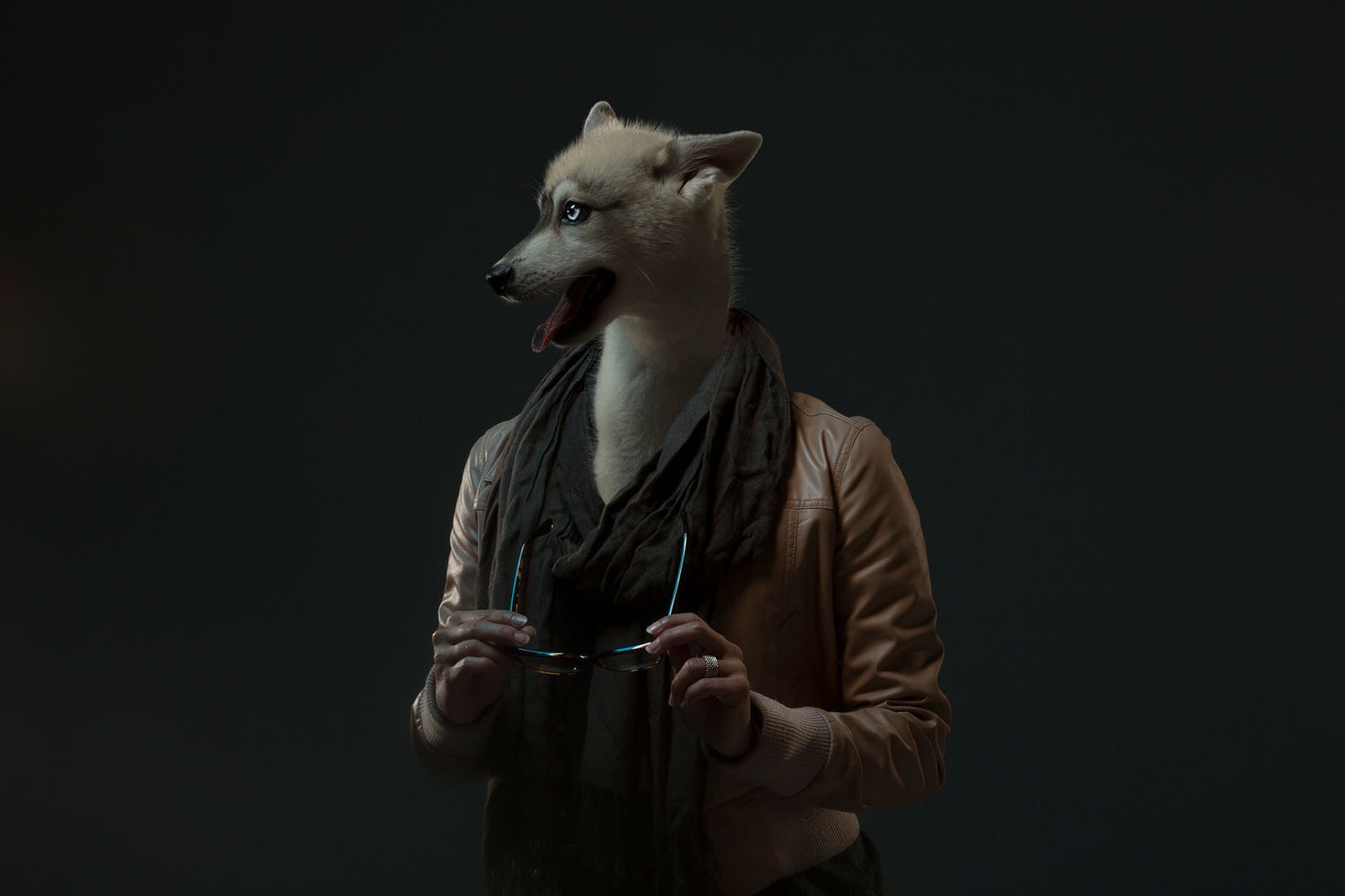 Portraits of Dogs with Human Bodies | PetaPixel