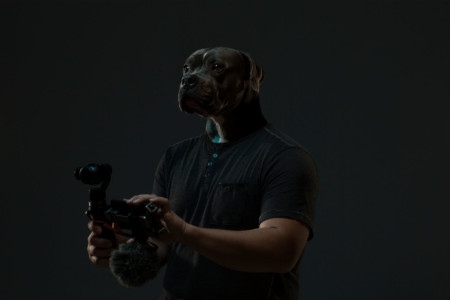 Portraits of Dogs with Human Bodies | PetaPixel