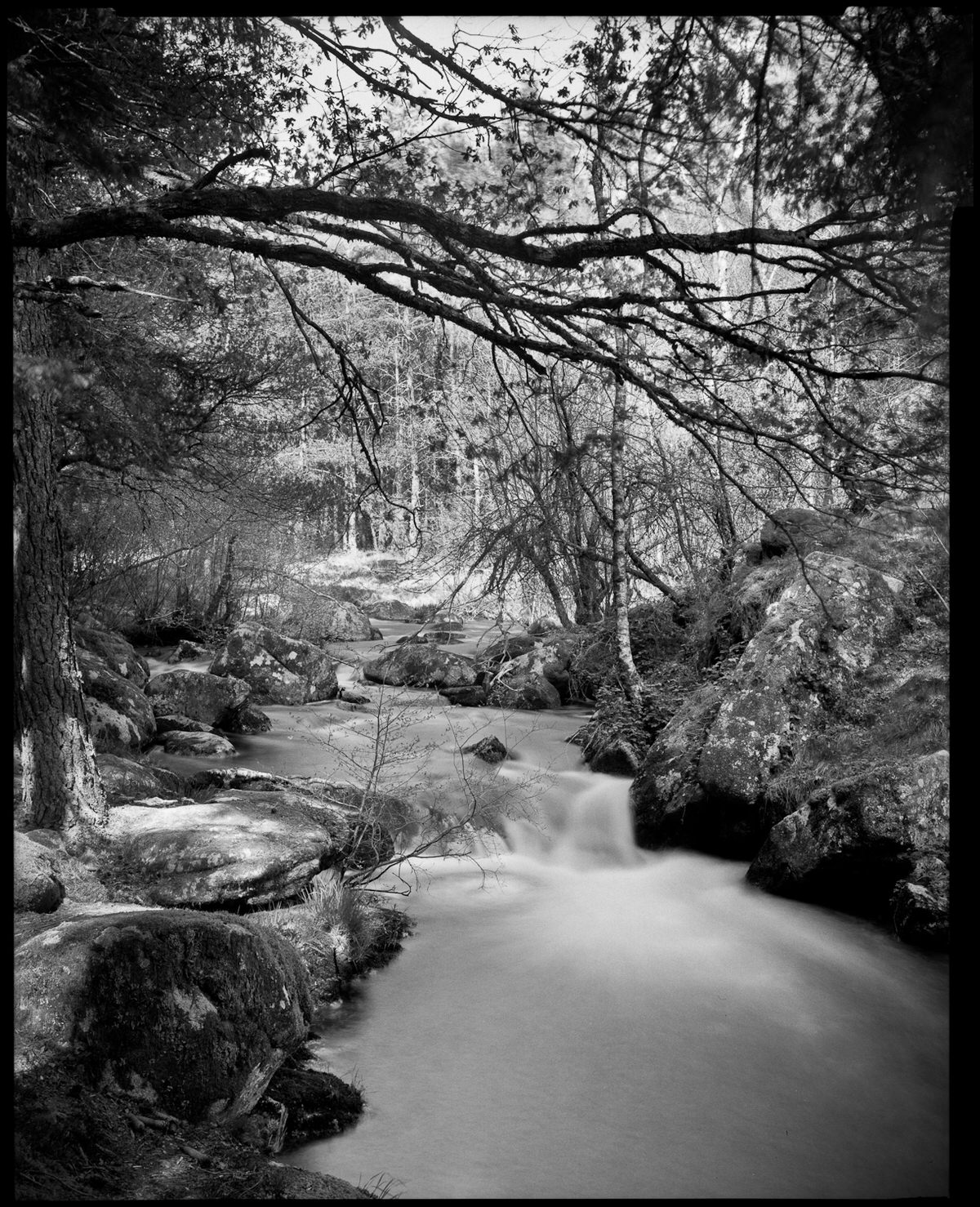 Bergger Unveils Pancro400, A New ISO 400 Black-and-White Film | PetaPixel