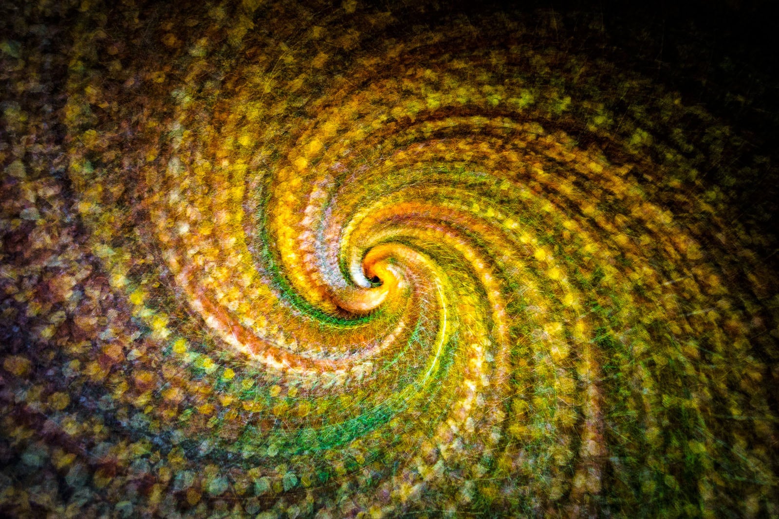 These Photos Were Made by Spinning the Camera While Shooting | PetaPixel